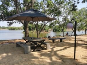 10 parques públicos para conhecer em Brasília